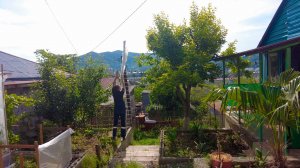 Устраняем последствия падения дерева
