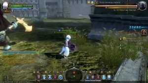 Dragon Nest странный глюк