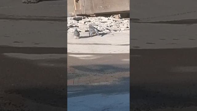 Ни как не отвыкнуть от "маминой титьки"