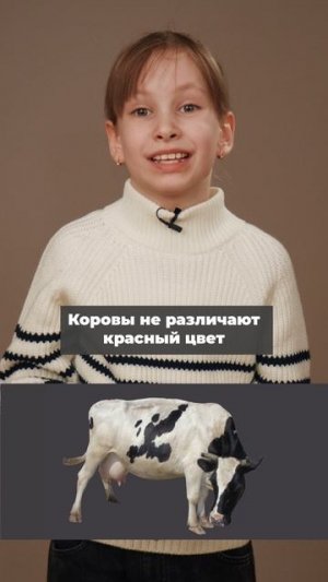 КАК ЖИВОТНЫЕ ВИДЯТ В ТЕМНОТЕ? #интересности #проговори