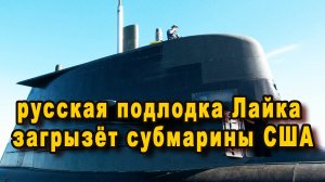 АМЕРИКАНЦЫ СКРЕПЯ ЗУБАМИ ПРИЗНАЛИ РОССИЙСКАЯ ПОДЛОДКА ЛАЙКА МОЖЕТ ЗАГРЫЗТЬ ИХ СУБМАРИНУ ВИРДЖИНИЯ