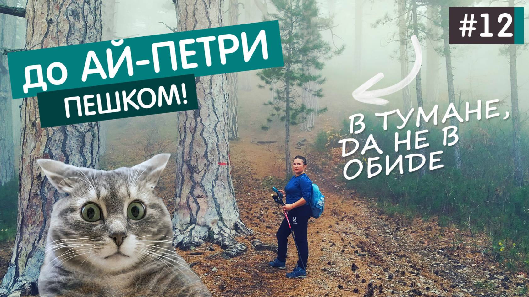 ИДЁМ К АЙ-ПЕТРИ ПО КОРЕИЗСКОЙ ТРОПЕ