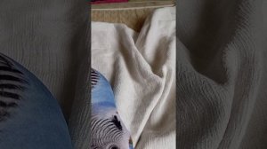 будущее неправдивое #5 2 сезон