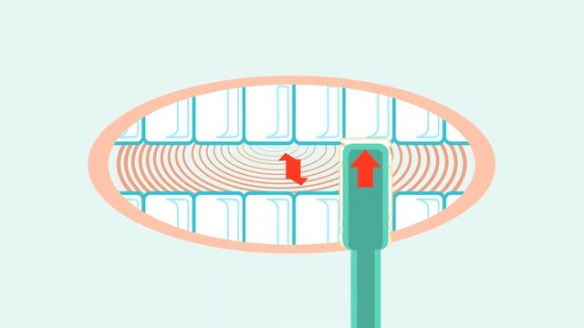 Как правильно чистить зубы зубной щеткой - Nardus
