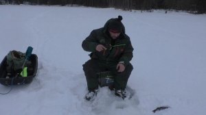 Рыбалка на лесном озере! Весёлая компания и собака!