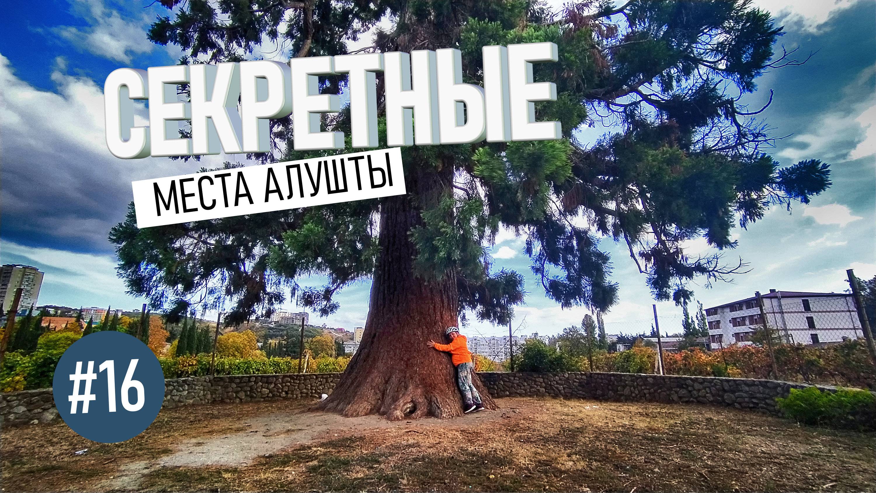 На велосипеде по СЕКРЕТНЫМ МЕСТАМ АЛУШТЫ. Крутые достопримечательности КРЫМА в пешей доступности