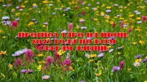 Прогноз Таро на июнь 2025 года по всем сферам жизни.