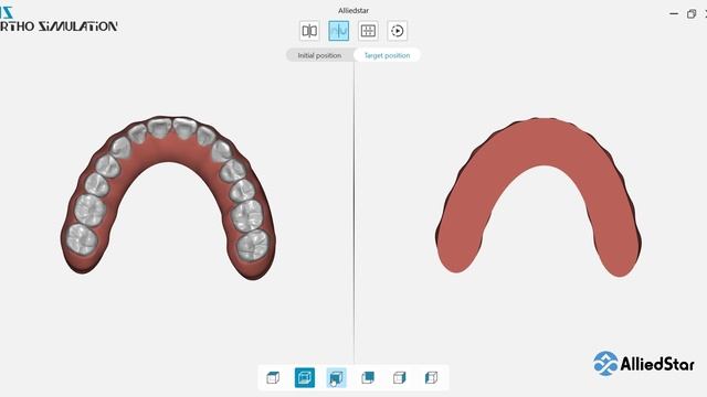 Приложение OrthoSimulation
