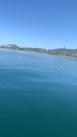 Ловим ставридку в Адлере.