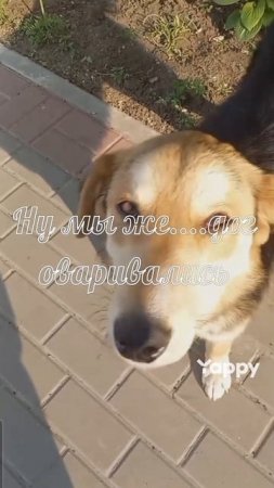 #подруги #породия #камедиклаб #понедельник #пятница #бег #бухло #семьяприколы #семьятиктокеров #втем
