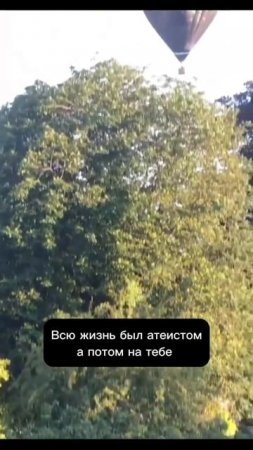 Второе пришествие кота