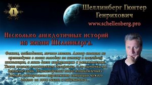 Несколько анекдотичных историй.