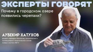 Почему в городском озере Нальчика появились черепахи? Отвечает эксперт КБГУ