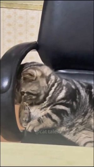 Прикольные моменты_3