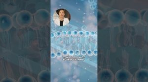 3 части тела, с которых начинается гипертония
