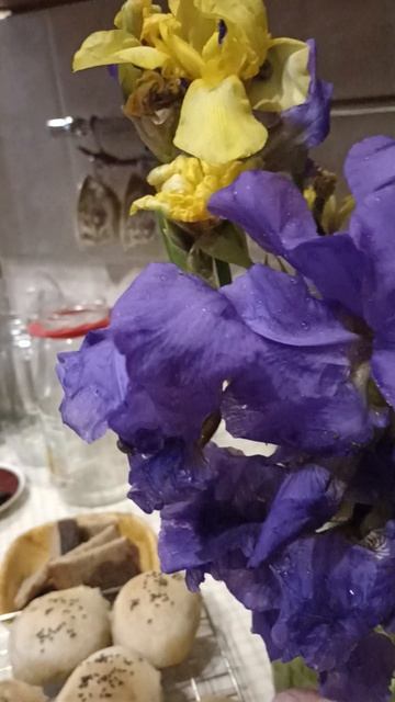 Майские ирисы провожают весну