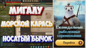 Black Desert. Рыболовные соревнования. 02--08.06 2025. Мигалу, Морской карась, Носатый бычок