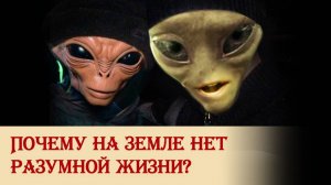 Почему на Земле нет разумной жизни?