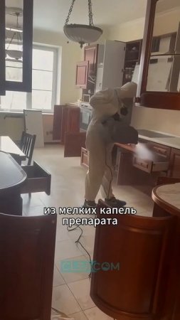 Дезинсекция от тараканов в квартире от проф службы