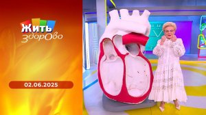 Жить здорово! Выпуск от 02.06.2025