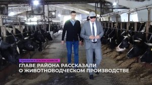Главе района рассказали о развитии животноводства  в ЗАО «Нива-Агро»