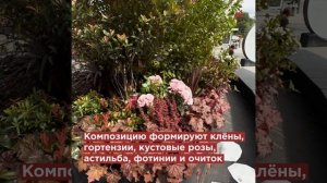 Пальмы перед Кремлем: фестиваль «Сады и цветы» превратил Москву в тропический курорт