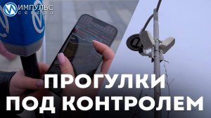 Прогулки под контролем