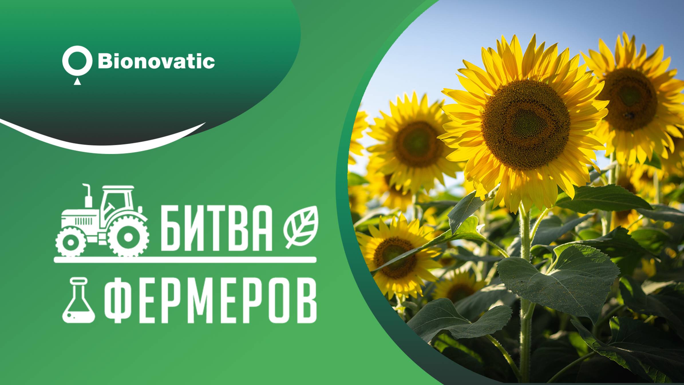 Битва фермеров за подсолнечник (промо)