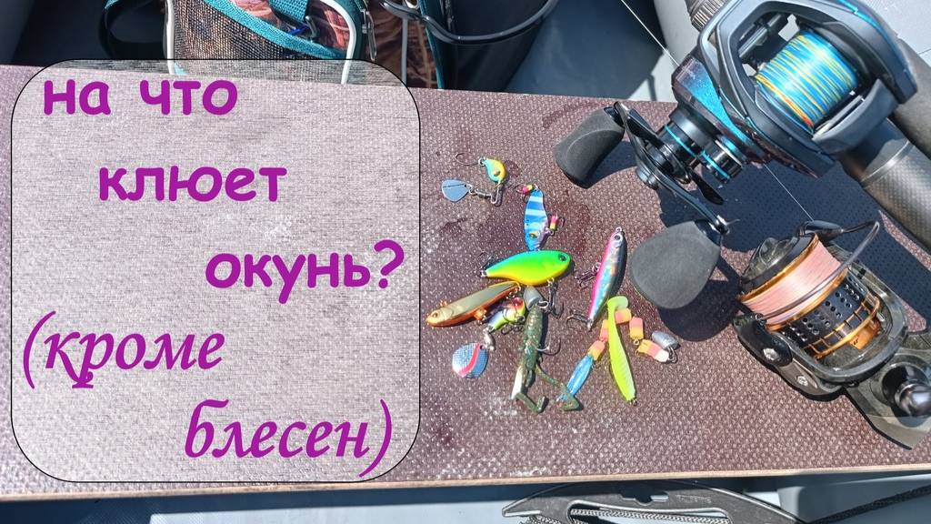 на что клюет окунь? (кроме блесен)