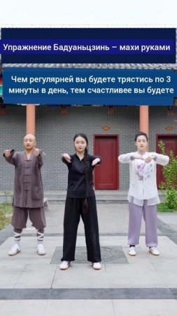 Упражнение бадуаньцзинь  Удан-тайчи