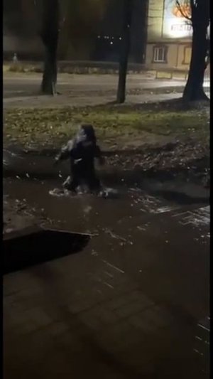 Отец и сын