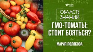 История томатов. Лекция агронома Марии Поляковой