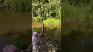 1000021480.mp4