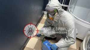 🙀 Разбили градусник? Срочно проводите демеркуризацию!