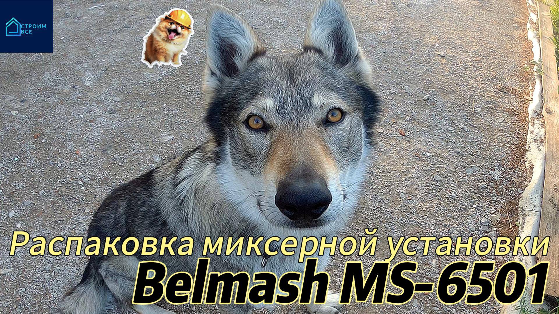 Распаковка миксерной установки Белмаш (Belmash MS-6501)