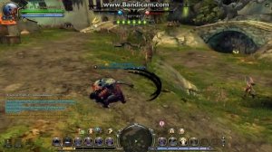 Dragon Nest колизей (оборотни)