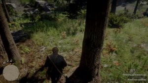 Прохождение Red Dead Redemption 2 #5 НЕУДАЧНАЯ ОХОТА И ПЕРВЫЙ РАЗ В РОЗЫСКЕ