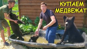 КУПАЕМ МЕДВЕЖАТ