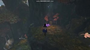 (сборник игр ) название игрьі -----(Alice - Madness Returns