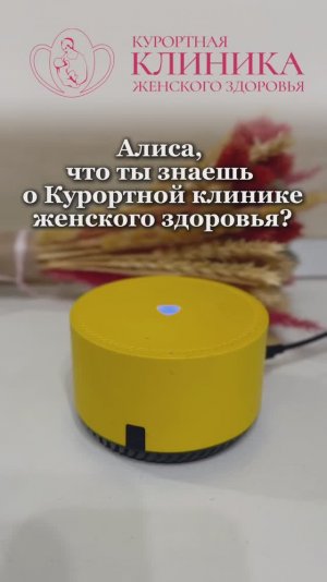 Сообщение от станции Алисы