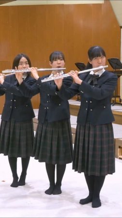 Обычная японская старшая школа (10-11 класс) 🇯🇵