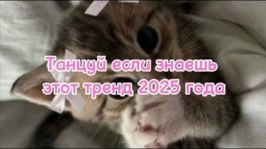 ℹ️ 🐱Танцуй если знаешь этот тренд 2025 года 🐱