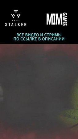 True Stalker - Убийца Вампиров - [2024] #shorts  #games #игры
