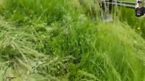 КАК И ЧЕМ КОСЯТ ТРАВУ В РАЗНЫХ СТРАНАХ МИРА /GRASS CLEANING IN D