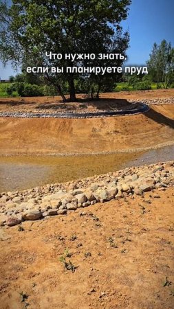 Что нужно знать, если вы планируете пруд