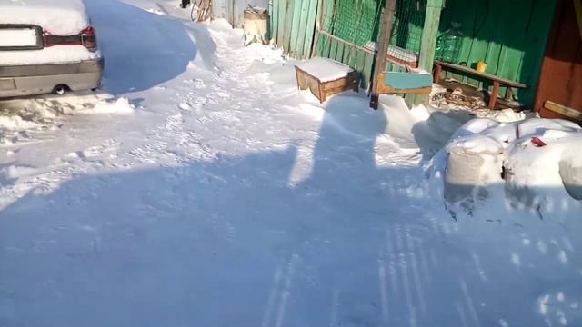 Завалило снегом ... 48 сантиметров за ночь!