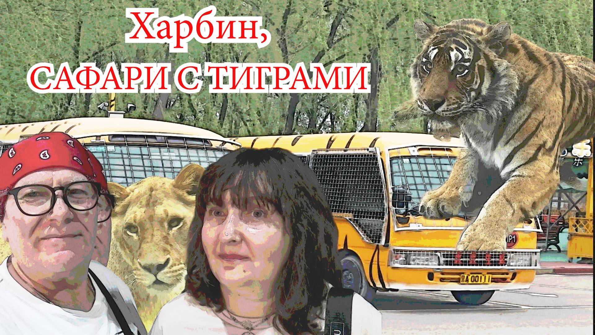 Сафари с тиграми. Харбин, Китай