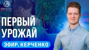 Эфир. Первый урожай. Дорожные работы. Новая техника