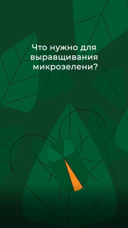 Что нужно для выравщивания микрозелени?