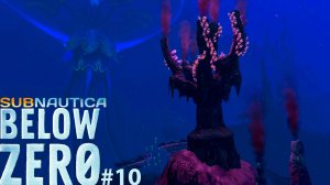 ОГРОМНЫЙ САД И СПИРАЛЕВИК Subnautica Below Zero#10